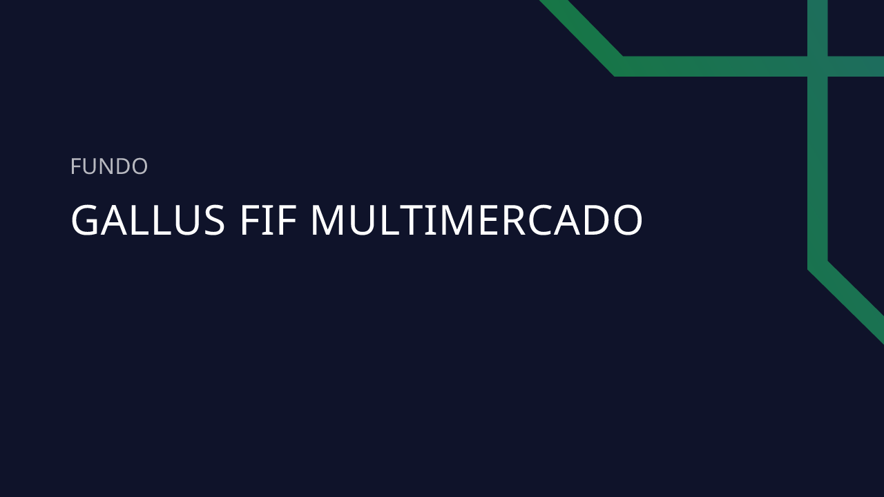 Fundo Gallus FIF Multimercado - 51.828.827/0001-29