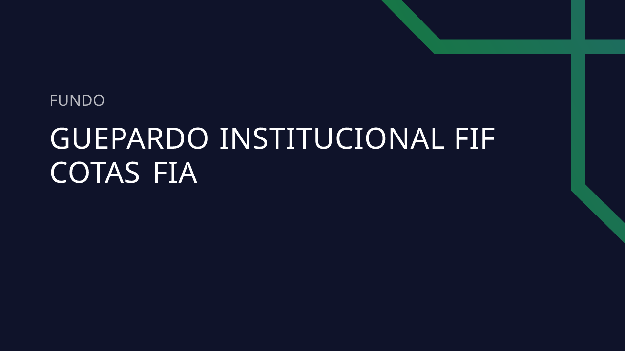 Fundo Guepardo Institucional FIF Cotas FIA - 08.830.947/0001-31